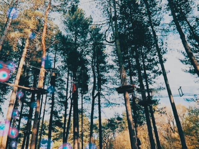 Tree Top Adventure: A Day to Remember – Abbey Row